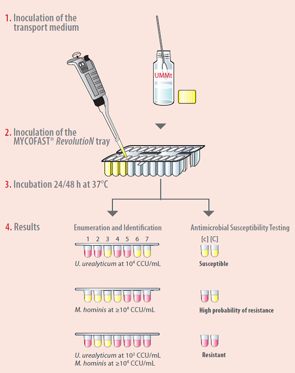 MYCOFAST®RevolutioN - e188亚洲金博宝lechgroup - Benelux - 金宝博软件